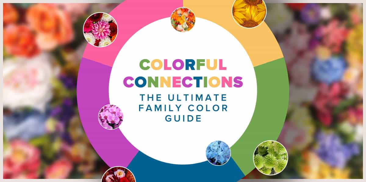 The Colorful Language of Flowers: Crafting Messages for Your Family ...