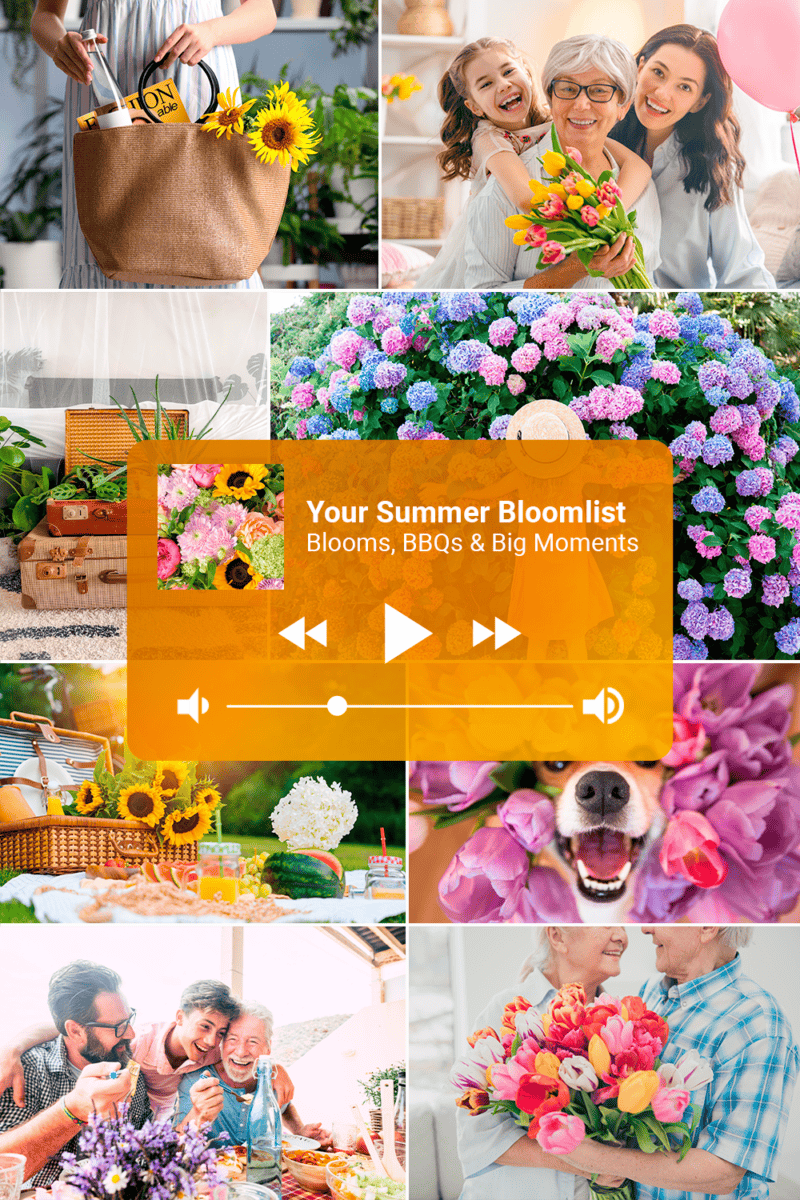 Let the Summer Blooms Flourish: Your Ultimate Petal Playlist - Julia's ...